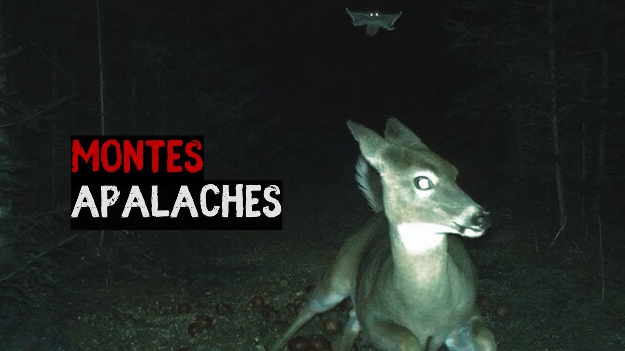 Os Encontros mais perturbadores nos Montes Apalaches capturados em ...