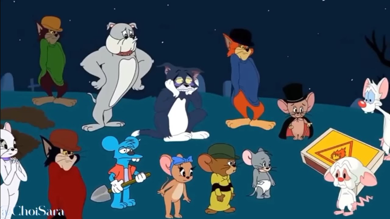 Tom & Jerry | Tom & Jerry in Full Screen | Classic Cartoon Compilation ...