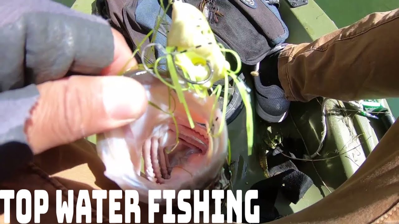 frog top water fishing for bass: mantua reservoir: utah fishing - YouTube