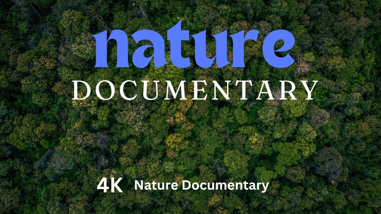 Experience the Wild: Stunning 4K Nature Documentary🌲🌳☘️ - YouTube