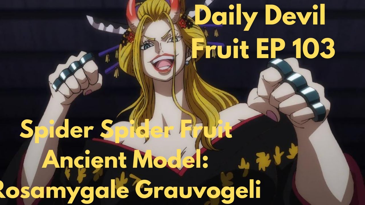 DAILY DEVIL FRUIT EP 103: SPIDER SPIDER FRUIT ANCIENT MODEL: ROSAMYGALE ...