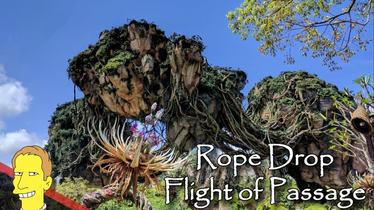 Rope Drop at Avatar Flight of Passage | Full Queue Walkthrough, Preshow ...
