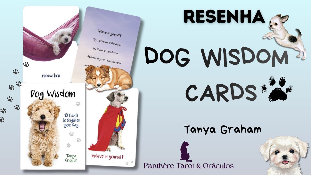 🐕 DOG WISDOM CARDS - Tanya Graham | Resenha - YouTube