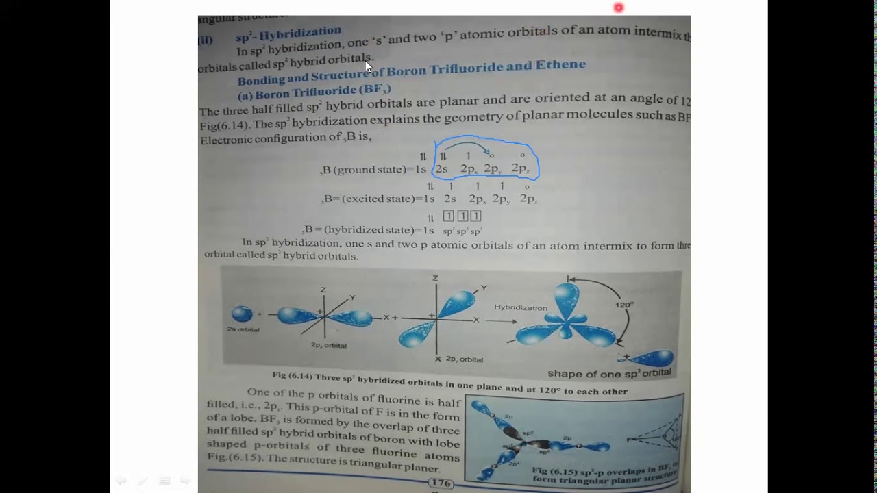 STRUCTURE OF BF3 BY SP2 HYBRIDIZATION - YouTube