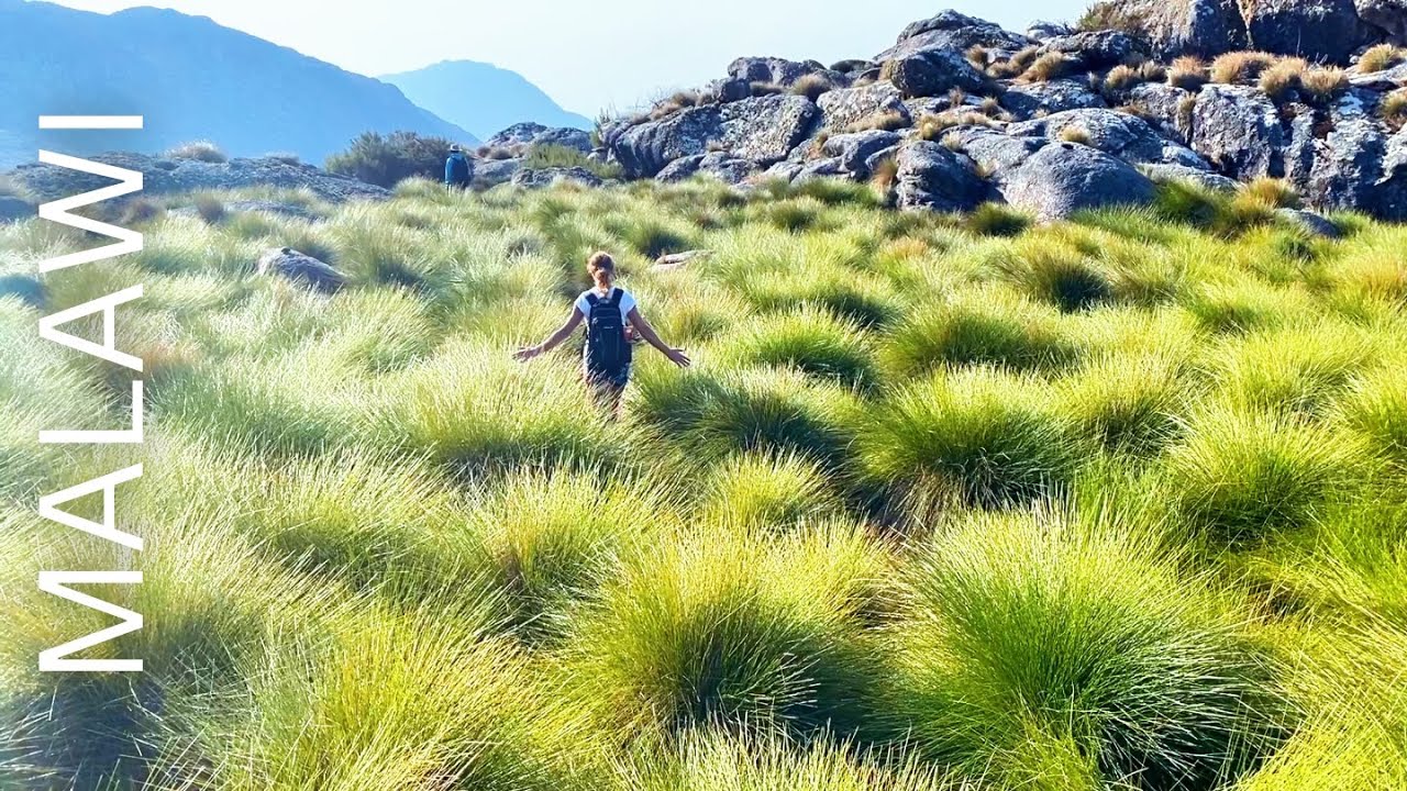 Epic 5-Day Adventure Hike on Malawi’s Highest Mountain | Mount Mulanje ...