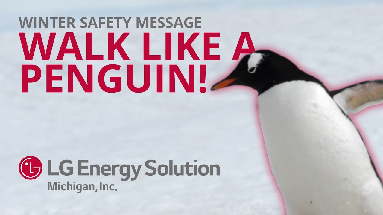 Winter Safety Message: Walk Like A Penguin! | LG Energy Solution ...