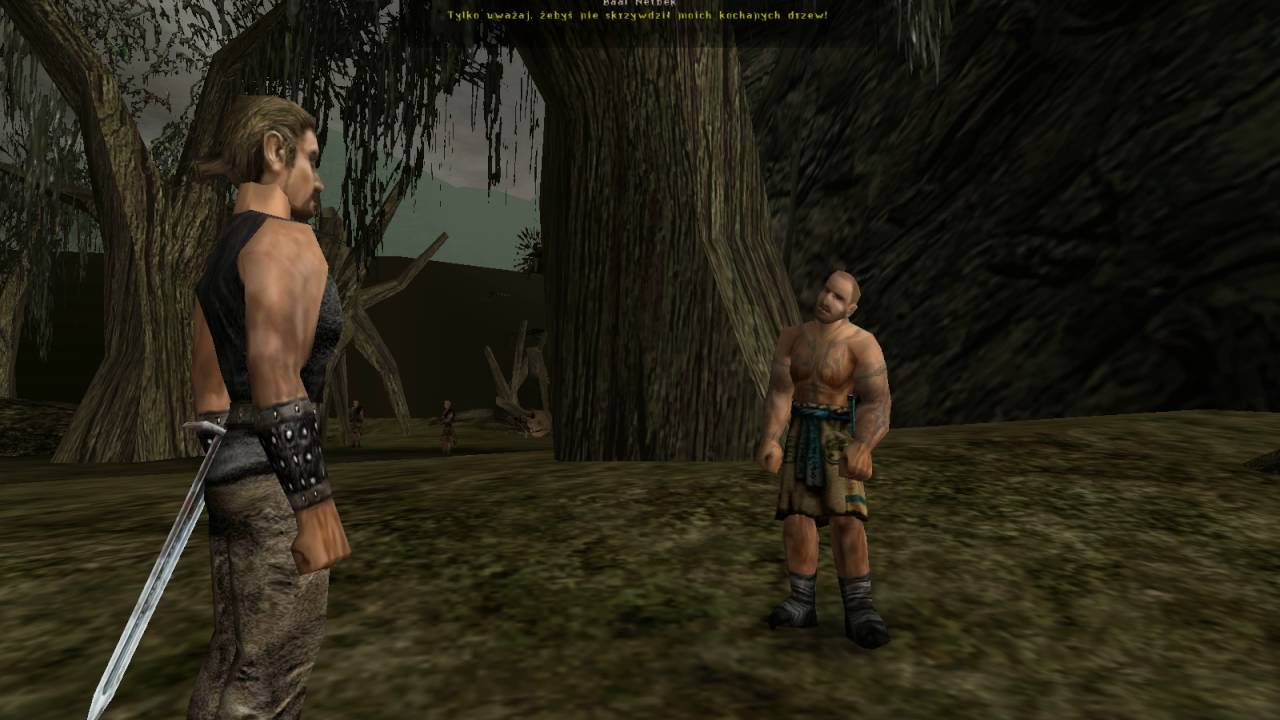 Baal Netbek i jego kochane drzewa (Gothic I) - YouTube