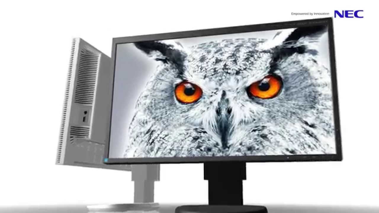 NEC EA244UHD Display - If you don't want to miss a detail - YouTube