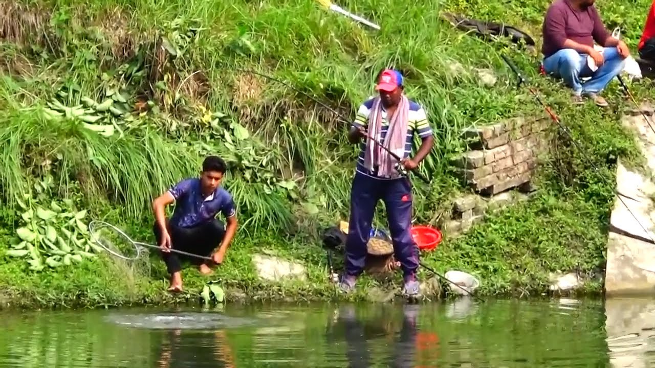 Best Fish Catching Videos By Fish Hooks In Natural Fishing Spots - YouTube