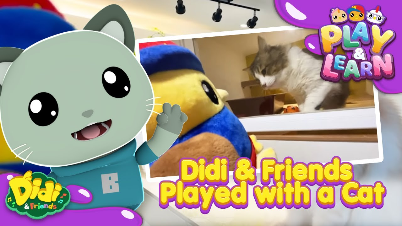 Didi & Friends Played with a Cat | Didi & Friends Play and Learn - YouTube