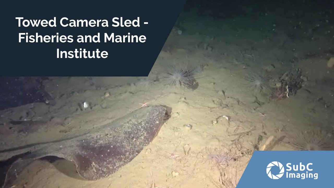 Towed Camera Sled - Fisheries and Marine Institute - YouTube