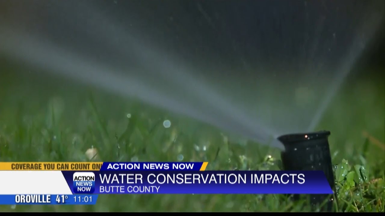 Environmental experts urge water conservation amid drought emergency ...