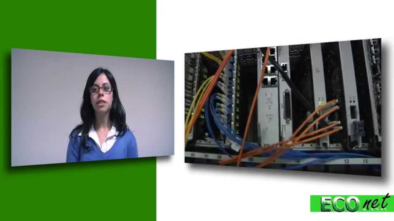 Global structure of the final ECOnet demonstration experiments - YouTube