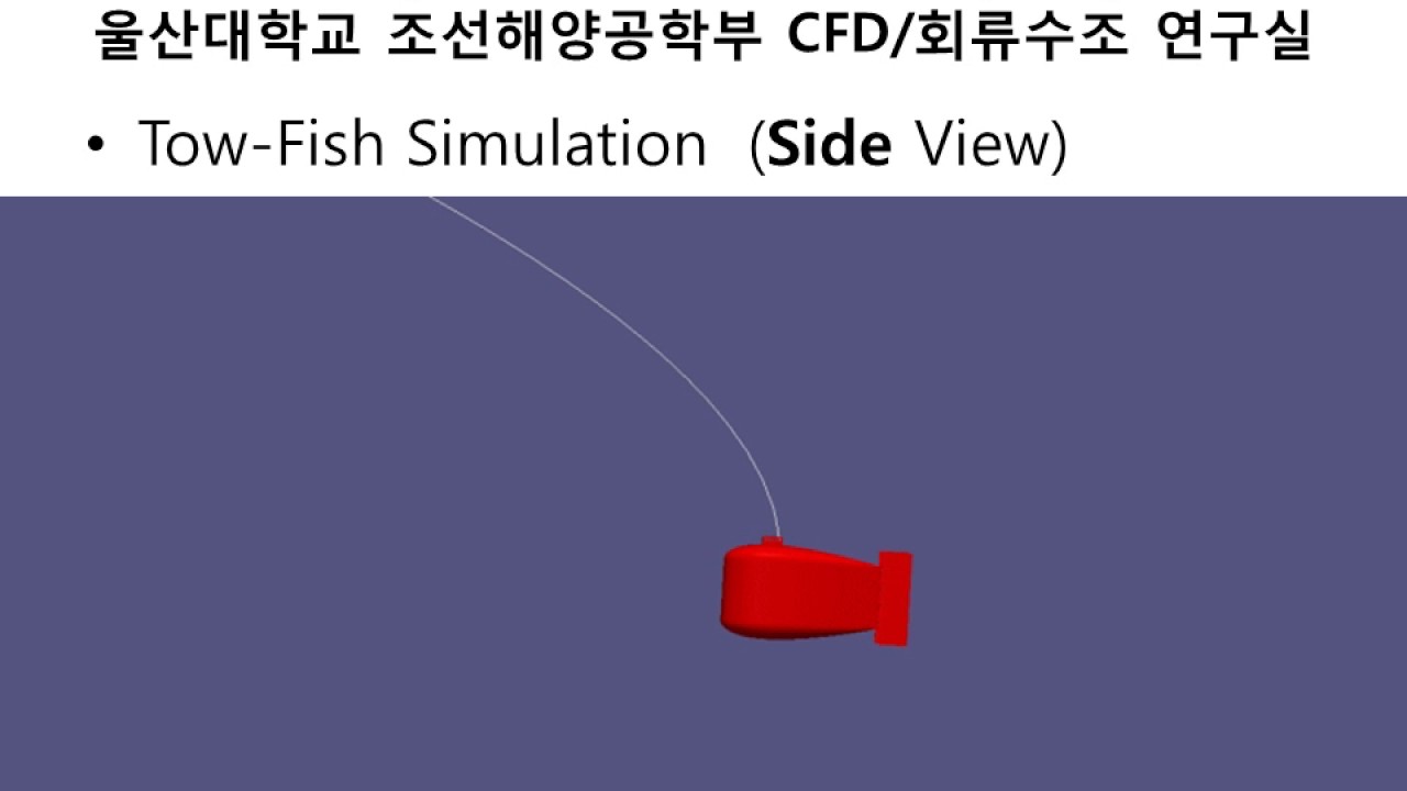 Two-Fish Simulation (Side view) - YouTube