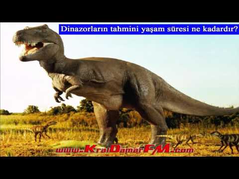 Dinazorların tahmini yaşam süresi ne kadardı ? - Cahillikler Köşesi