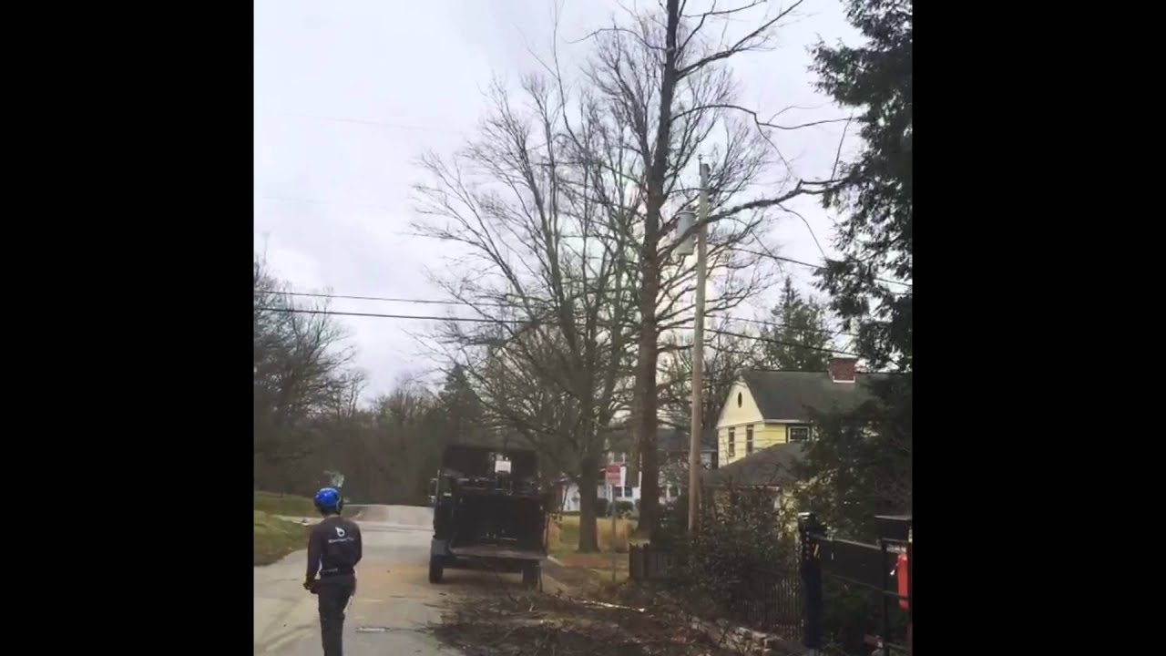Palfinger knuckle boom tree removal in Bloomington, Indiana - YouTube