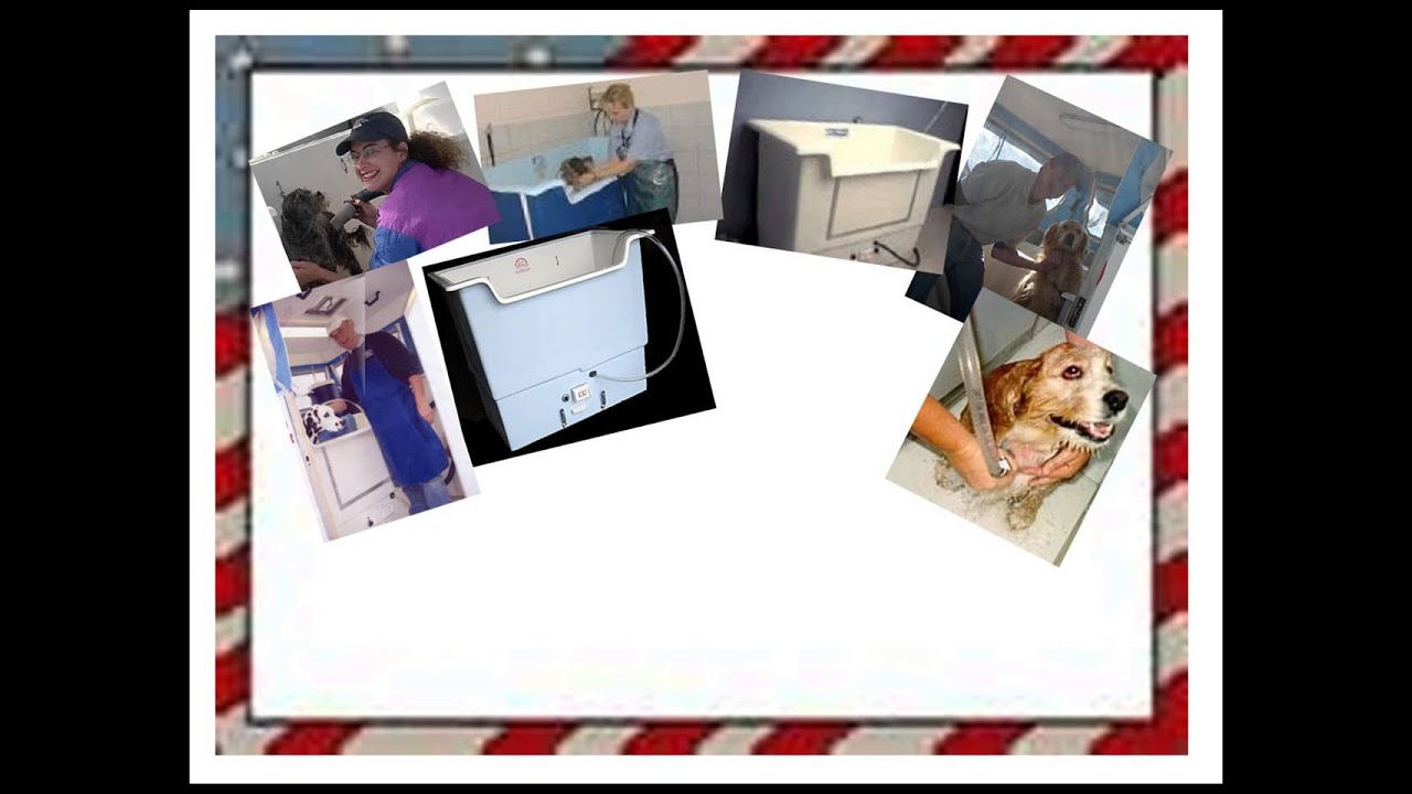 Hydro-groom Dog Trolleys & Hydrobaths - YouTube