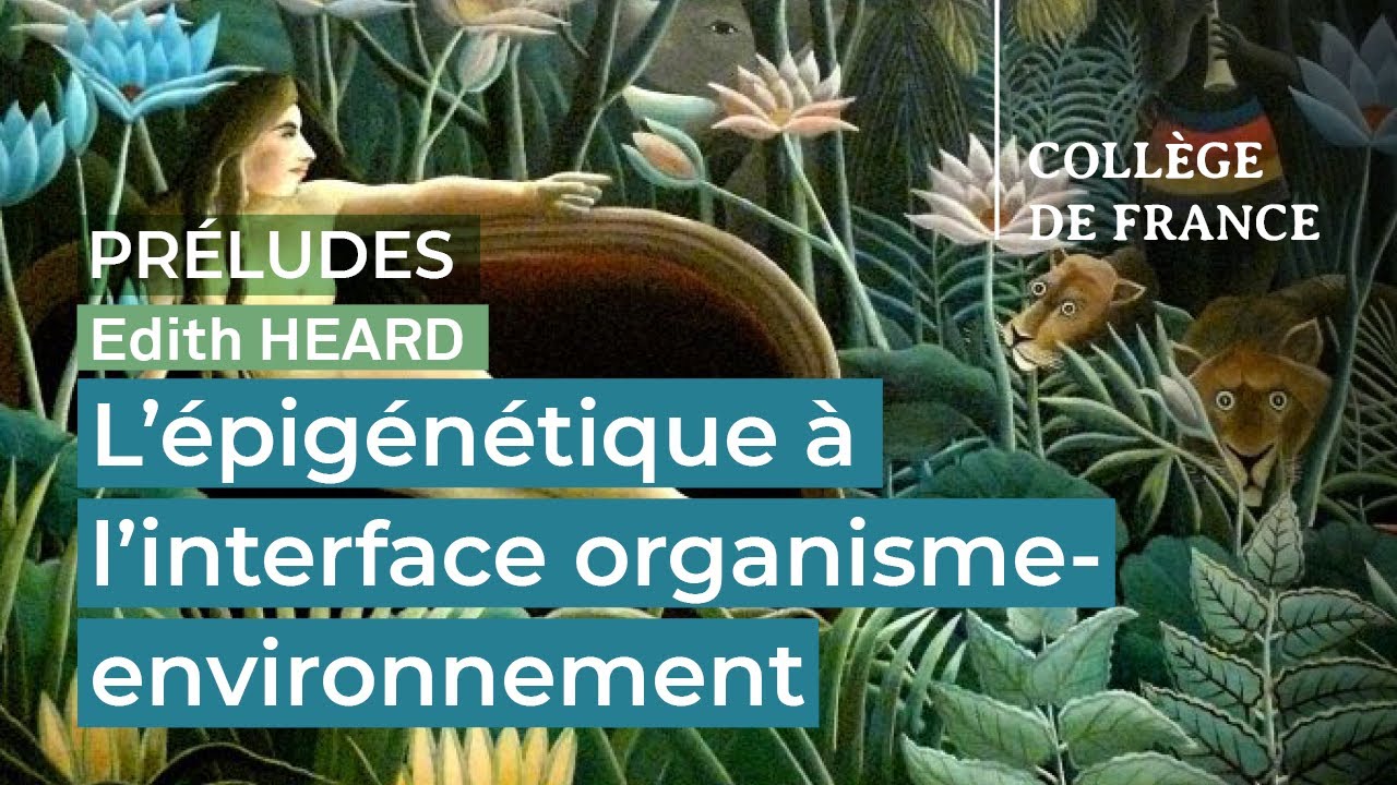 L’épigénétique à l’interface organisme-environnement - Edith Heard ...