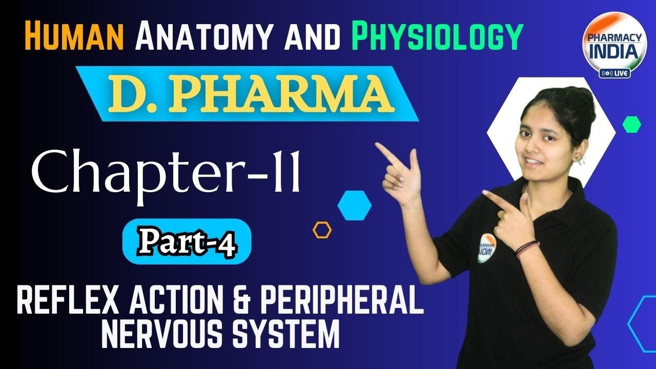 REFLEX ACTION & PERIPHERAL NERVOUS SYSTEM | CHAPTER - 11 | PART - 4 | HAP | D.PHARMA | FIRST ...