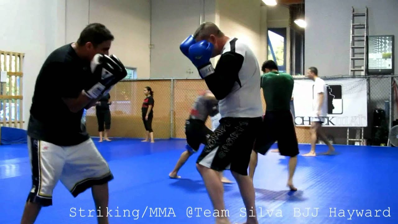 MMA Class @Team Silva BJJ Hayward, CA - YouTube