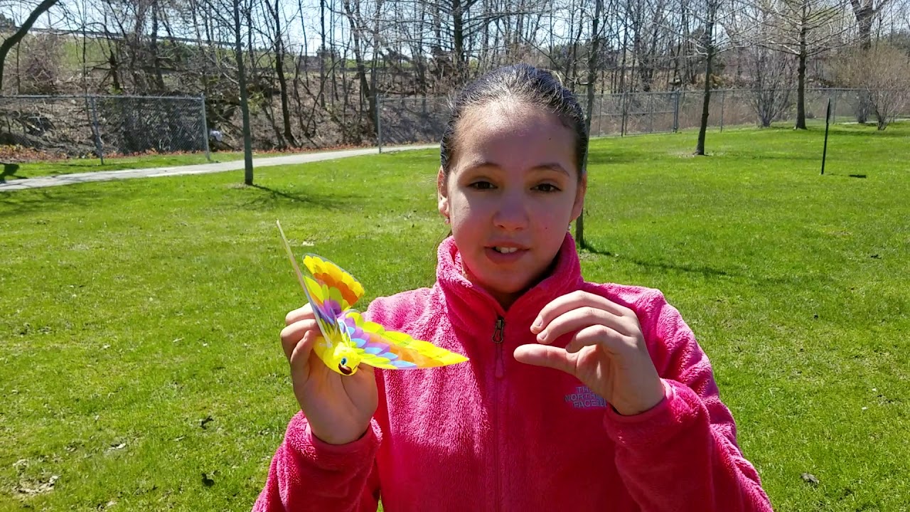 Flying Timmy Bird. Giselle's World Of Adventure - YouTube