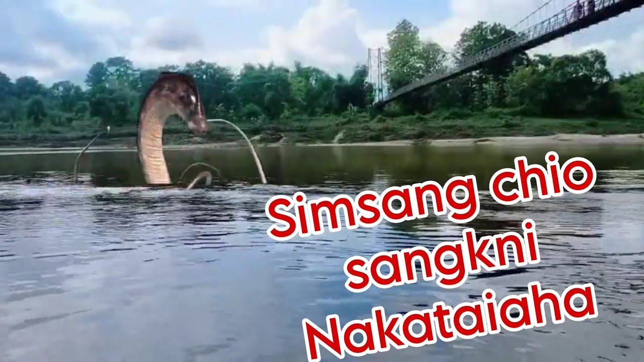 New Viral Videos Facts|| Chingkam Marak Official - YouTube