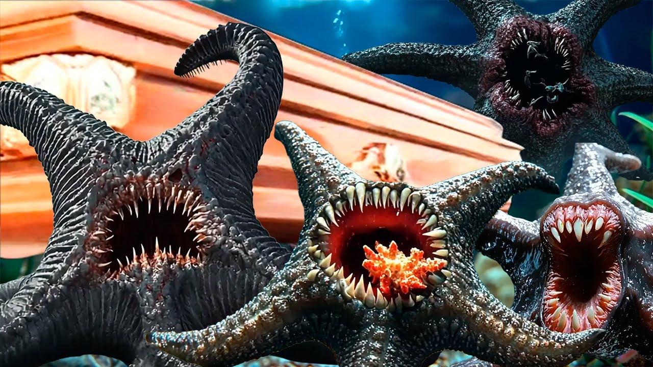 HUNGRY STAR - Coffin Dance Song (COVER) #2 - YouTube