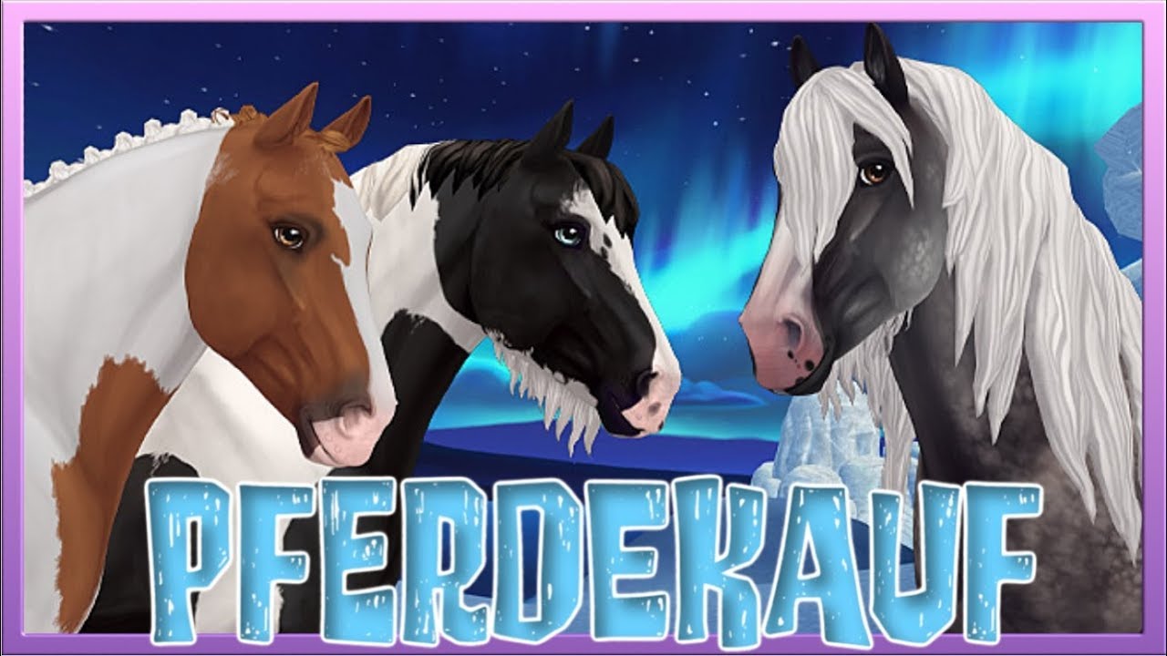 Wir KAUFEN den neuen TINKER 🦄 Star Stable Pferdekauf [SSO] - YouTube