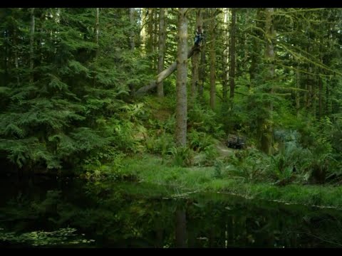 Ormana Doğru - In to the forest 2015 Dram filmi.