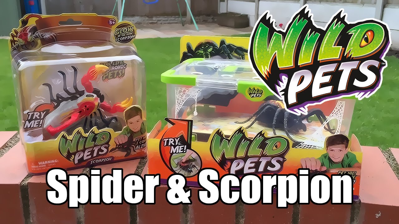 Wild Pets Spider & Scorpion with Habitat Playset - YouTube