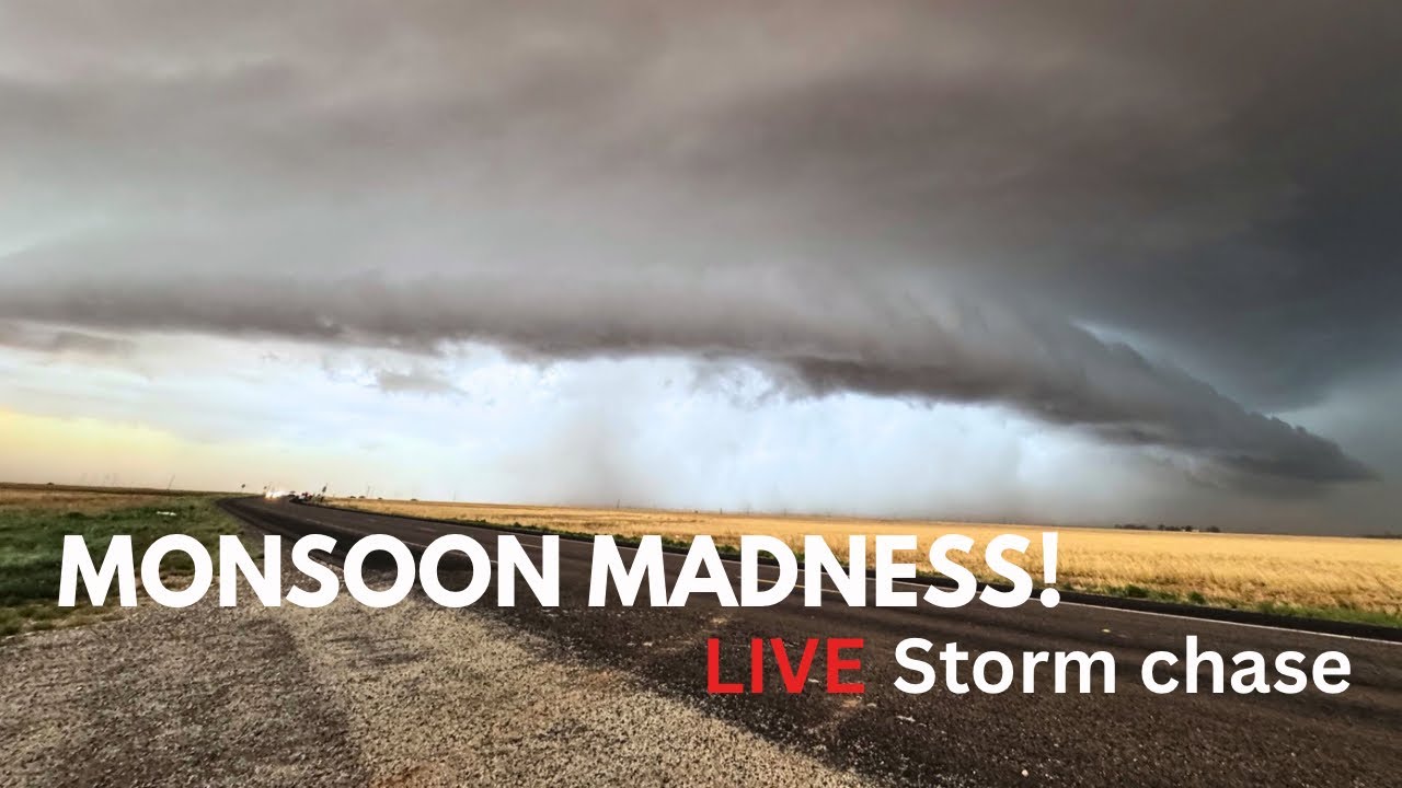 Arizona Bust—Beautiful Sunset! 🔴LIVE Storm Chase - YouTube