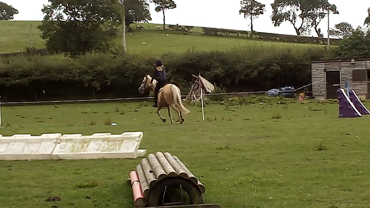 New pony - Erin the Arab cross Welsh jumping first time - YouTube