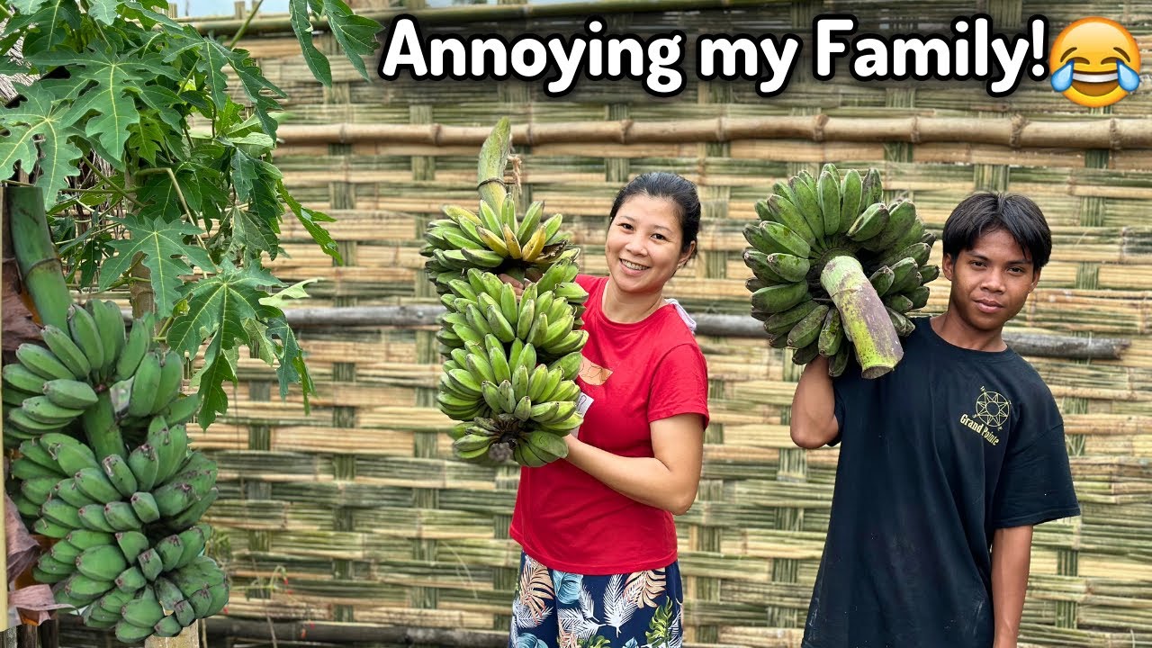 Nagharvest ng Saging! Paano mainis si idol at Nanay 😂 | VLOGMAS 17 ...