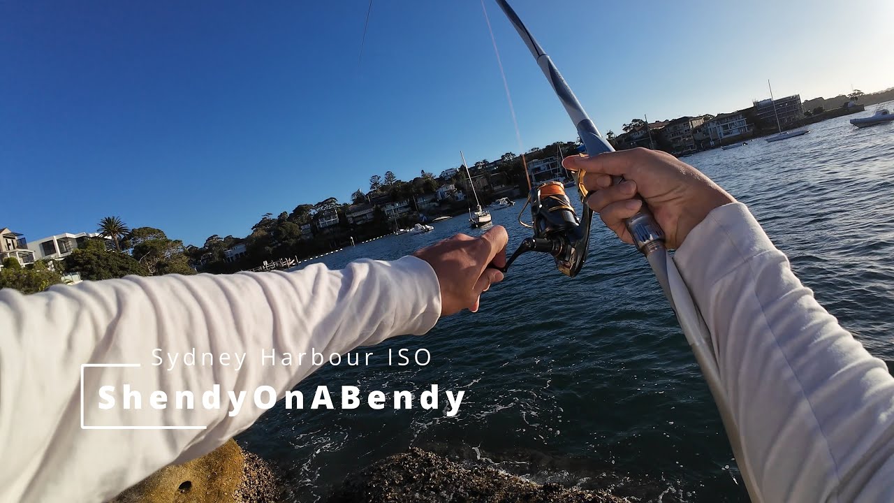Catching a beautiful fish on a Japanese ISO rod - YouTube