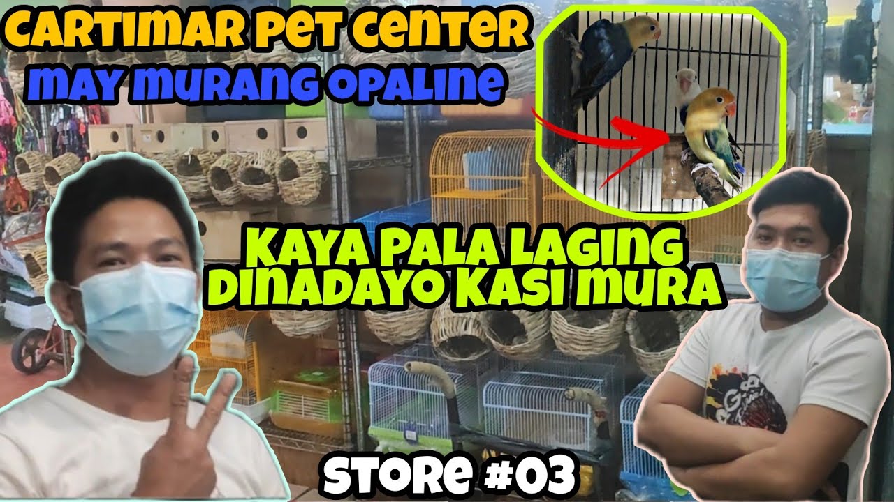 OPALINE SA ABOT KAYANG HALAGA CARTIMAR PET CENTER STORE3 #kapetshop # ...