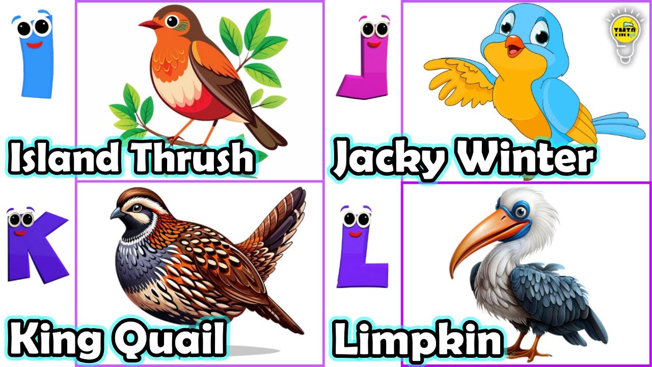 Birds Alphabet Song for Kids | Birds ABC Song | Phonics for Kids | Baby ...