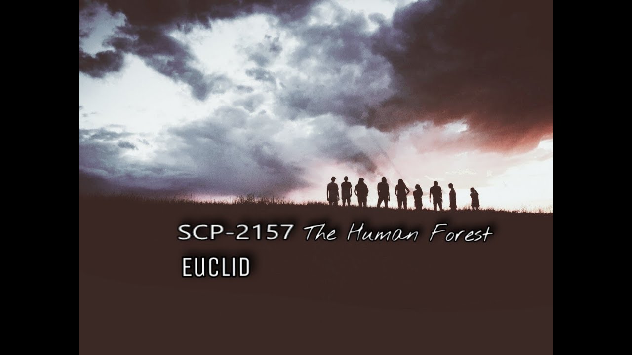 SCP-2157 | The Human Forest | Object Class: Euclid - YouTube