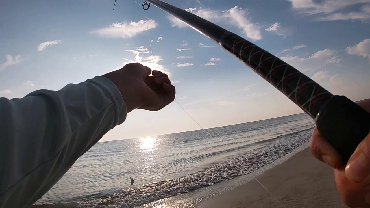 Huge Whiting Caught Off St. Augustine Florida - YouTube