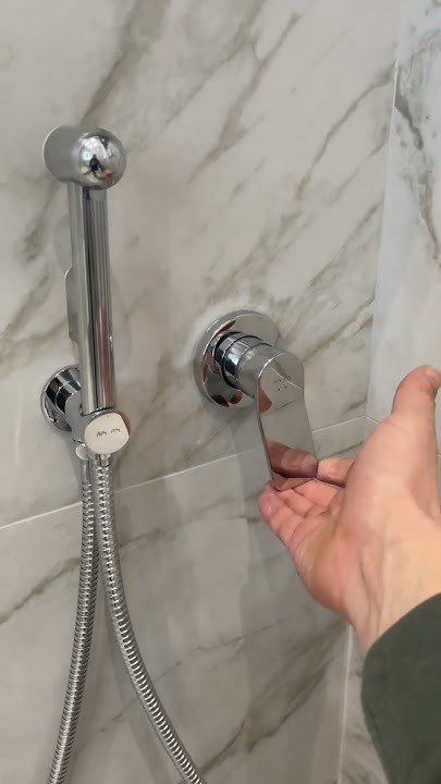 Обратные клапаны на гигиенический душ: защита от обратного потока воды ...