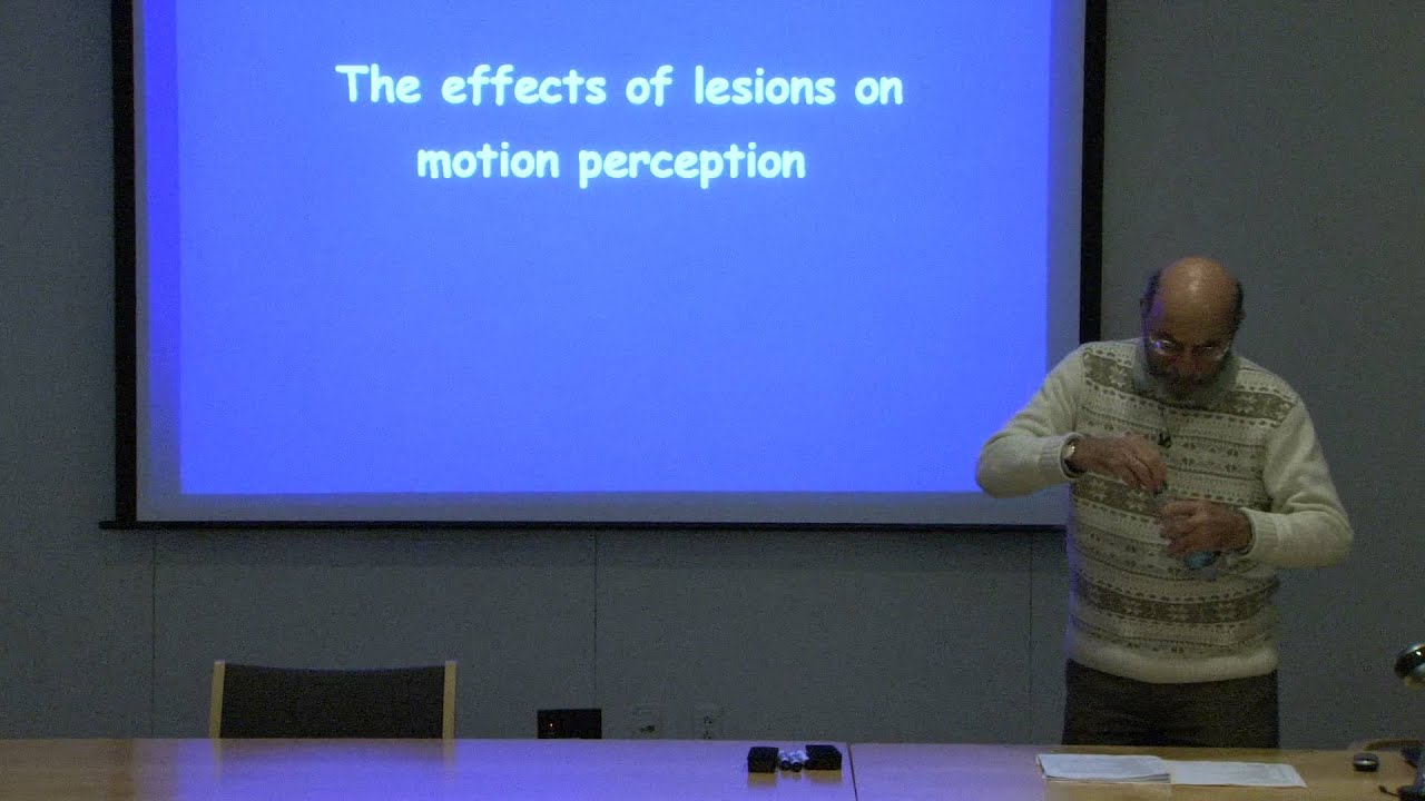 12. Motion perception and pursuit eye movements - YouTube