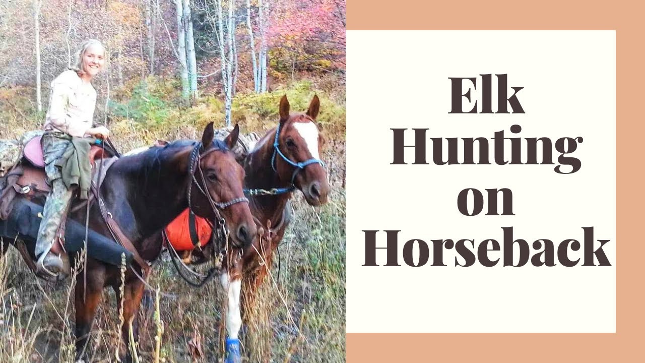Elk Hunting on Horseback - YouTube