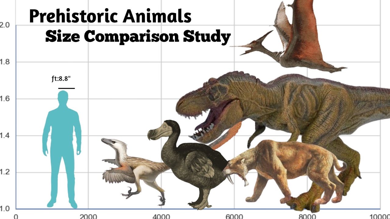 Prehistoric Animals Size Comparison | Prehistoric Animals Vocalisation ...