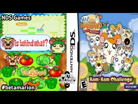 Hi ! Hamtaro : Little Hamsters Big Adventures Ham Ham Challenges ...