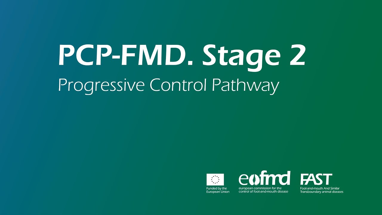 Progressive Control Pathway (PCP-FMD): Stage 2 - YouTube