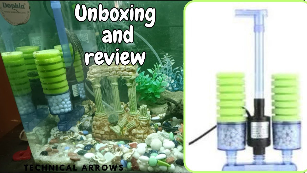 PREMIER PLANTS XINYOU Double Sponge Filter Setup! @TechnicalArrows ...