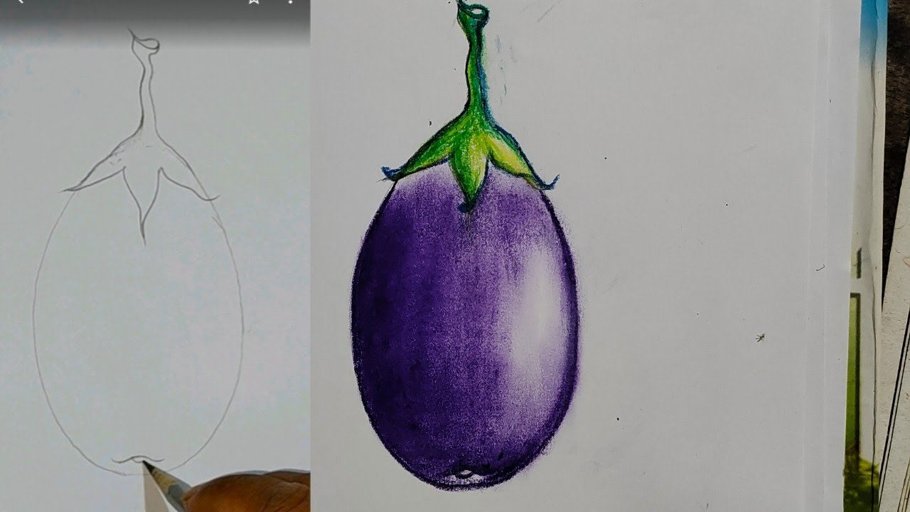 How to draw and colour a Brinjal step by step#Easy Brinjal drawing# ...