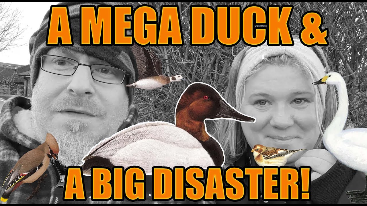 A MEGA DUCK & A BIG DISASTER! - YouTube