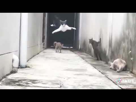 I'm Fast as F Boi👀