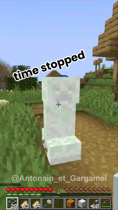 Minecraft Tick Freeze - YouTube