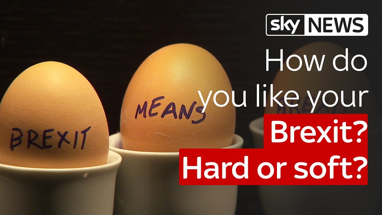 How do you like your Brexit? Hard or soft? - YouTube
